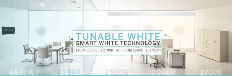 Tunable White – Elitelighting