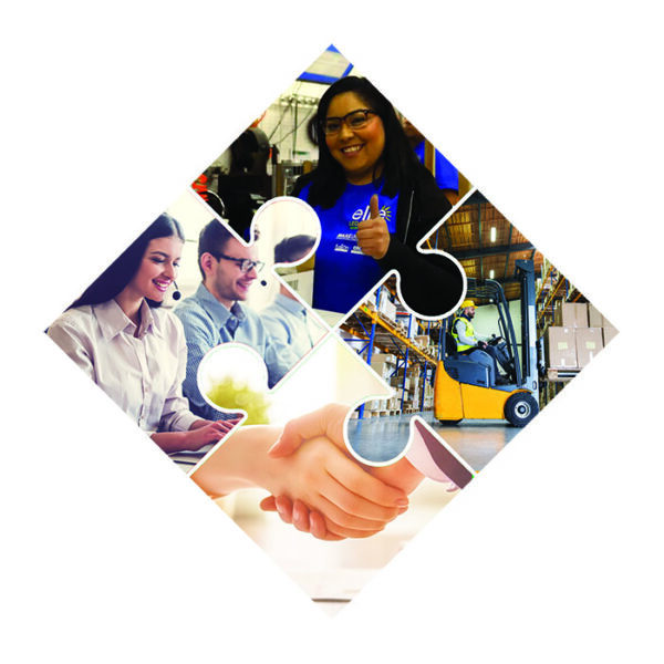 distributor – Elitelighting